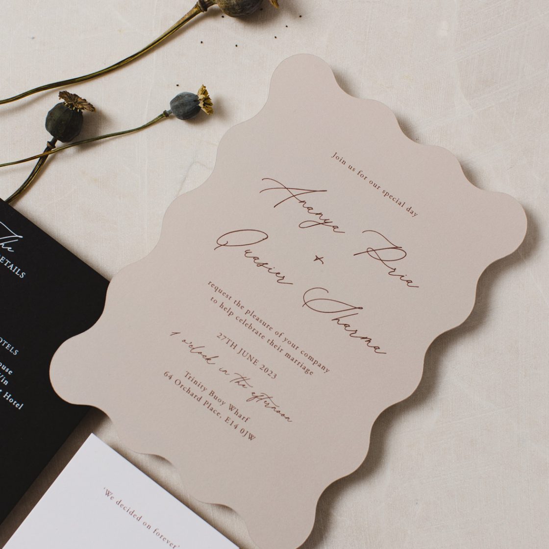 Scalloped Edge - PaperGrace